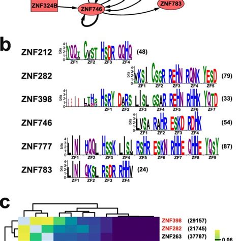 Duf3669 Krab Znf Protein Complexes And Dna Binding Signatures A