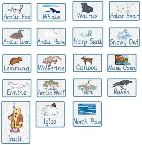 Seaside Souvenir Shop Role Play