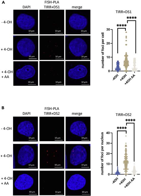 Cell Press Star Protocols