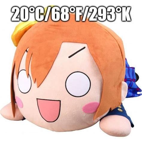 The Internal Temperature Of A Nesoberi Rotonokizaka