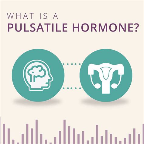 What Is A Pulsatile Hormone