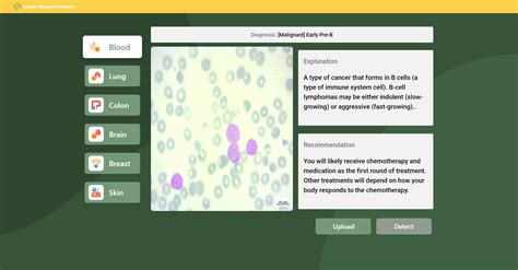 GitHub Mohamed Ameer Cancer Diagnosis Version2 Desktop Desktop App