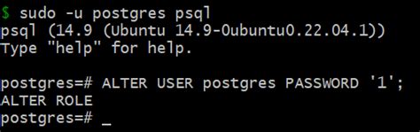 how to access from windows a discourse s postgresql database installed