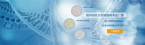 上海葵赛生物科技有限公司