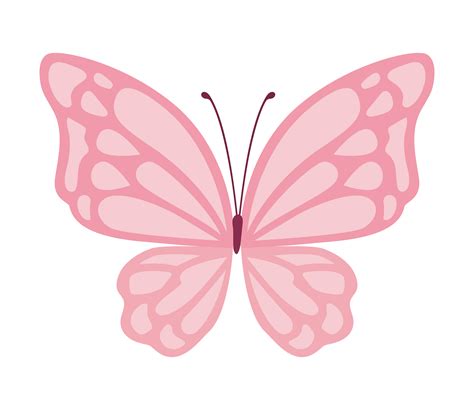 Pink Butterfly Vector Art Icons And Graphics For Free Download