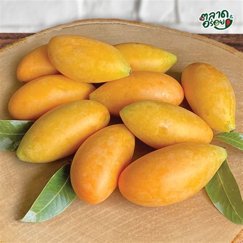ตลาดอร่อย Product Reviews มะปรางหวานพันธุ์สุวรรณบาตร 5 กิโลกรัม ลูก