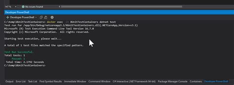 Vs 2019 On Windows Debugging A Unit Test Running In A Linux Container