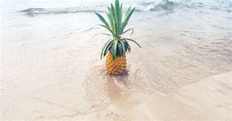 chaithra bh posted on linkedin