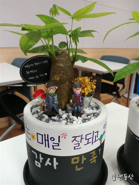 원예치료 울산대학교 플라워테라피 식물심기 네이버 블로그
