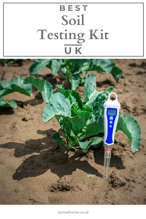 The 9 Best Soil Testing Kits In The UK For 2025