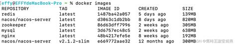 macbook m1 pro使用brew安装docker并安装nacos【超详细图解】 brew install docker csdn博客