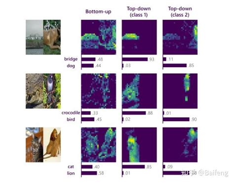 Cvpr2023 Highlight Top Down Visual Attention 知乎