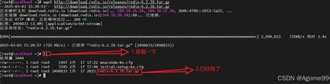 Linux下安装redis超详细linux安装redis Csdn博客