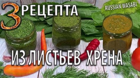 3 РЕЦЕПТА из листьев хрена на зиму🍃Витаминная приправа из хрена🌶️