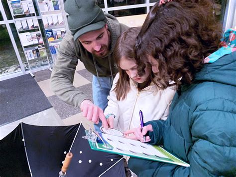 Stem With Lm Department Of Energy