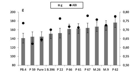 Rootstock Effect On Average Fruit Weight G Of Cv Auksis And Abi