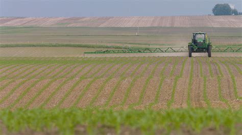 The Impact Of Weed Pressure On Optimal Corn Yields Agdaily