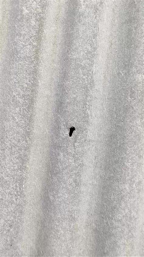 Be Sure To Remember This Trick How To Quickly And Easily Make A Shorts Clitools Tool