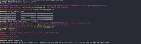 Findfakefast Mallocchunk Cannot Access Memory At Address · Issue