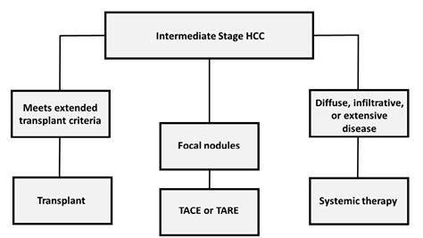Current Perspectives On The Bclc Staging System For Hepatocellular Carcinoma