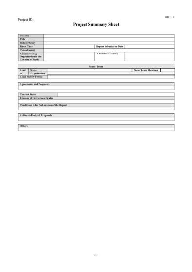 Perfect Project Summary Templates Examples Perfect Project Summary Templates Examples