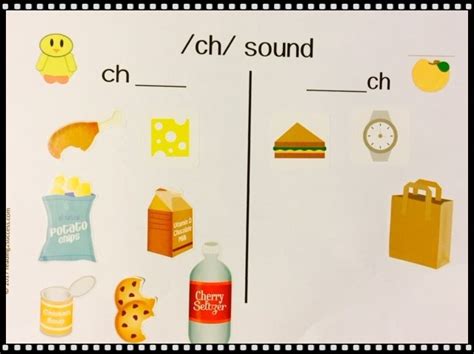 Reading Success Differentiated Phonics Instruction Practice Review