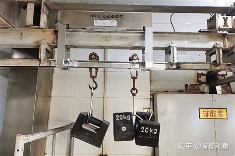 技术屠宰肉联轨道电子秤工作原理技术特点及应用场景 知乎