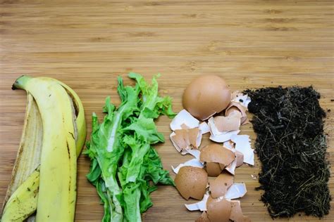 Adubo caseiro para hortaliças economize cultivando suas hortaliças