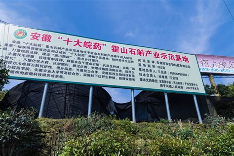 霍山石斛产业示范基地产品中心安徽皖西生物科技有限公司