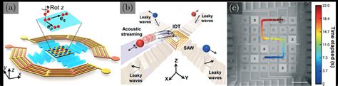 4 Different Surface Acoustic Manipulation Methods A A Surface