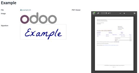 Fields And Widgets Odoo 16 0 Documentation