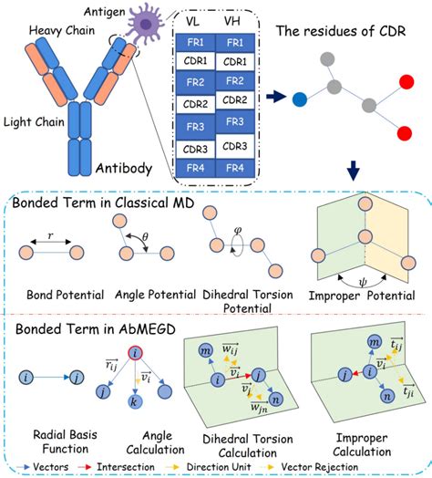 论文评述 Antibody Design And Optimization With Multi Scale Equivariant