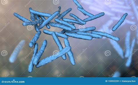Mycobacterium Leprae Bacteria Stock Illustration Illustration Of Medicine Microorganism