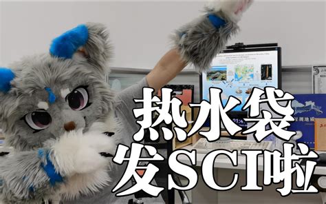 【热水袋】 研究生第一篇sci论文经历分享 毛茸茸的热水袋 毛茸茸的热水袋 哔哩哔哩视频