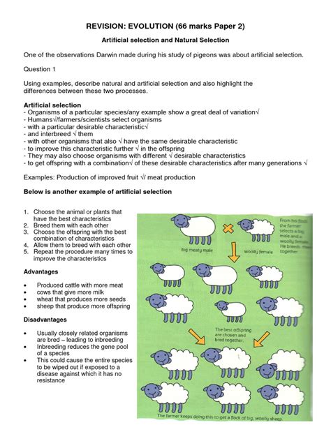 Revision Evolution Pdf Evolution Selective Breeding