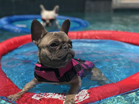 159 Best Lazy River Images On Pholder Pics Mildlyinteresting And Vaporwave Aesthetics