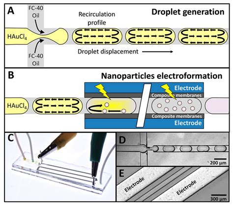 A Schematic Illustration Of The Flow Focusing Approach For Droplet