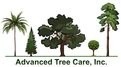 Tree Maintenance Analysis And Preservation Specialists