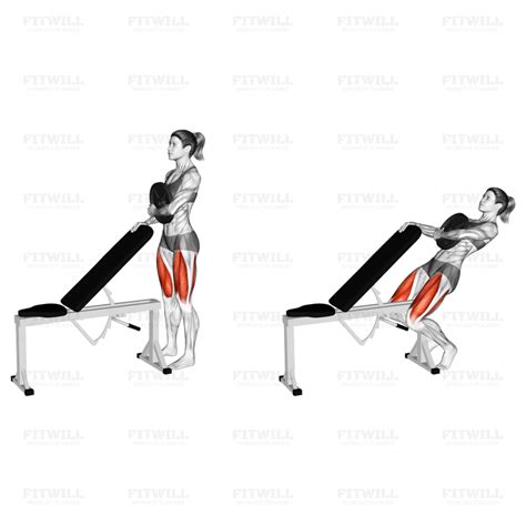Weighted Sissy Squat Exercise Guide Video Techniques Benefits How