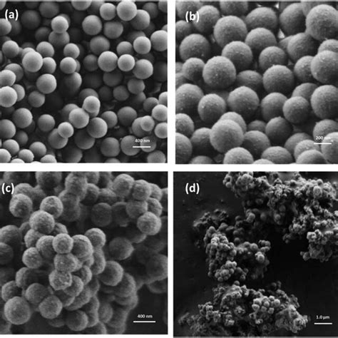 Scheme 2 Mono Functional Silica Nanoparticles Synthetized A Nps Sio