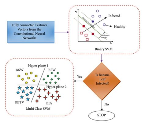 Structure Of Proposed Fusion Svm Classifier Download Scientific Diagram