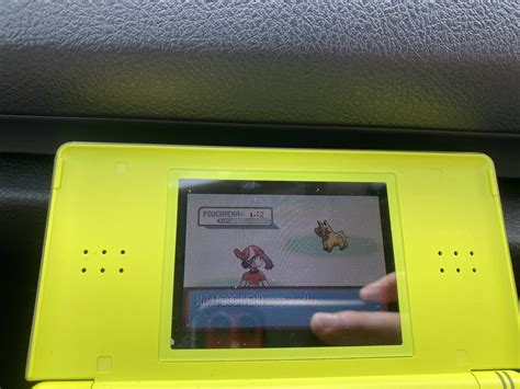 [3] Phase 2 For Shiny Treeko 🤦🏻‍♂️ Ill Get It One Day Hopefully