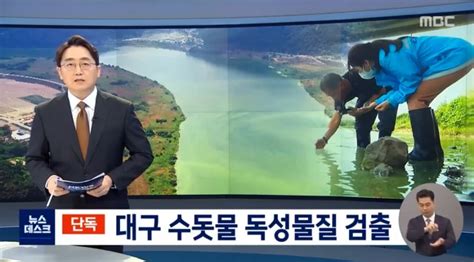단독 대구 수돗물에서 마이크로시스틴 검출 촬스의 이슈와 유머