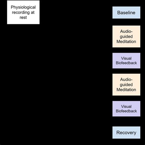 Chronological Representation Of The Biofeedback Assisted Mindfulness Download Scientific