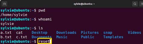 The Clear Command In Linux Practical Examples
