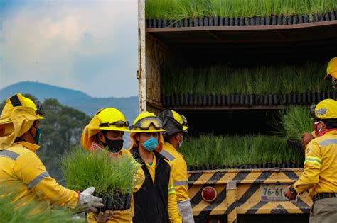 Arranca Sedema con Reto Verde 2021 en suelo de conservación