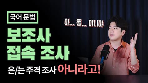 접속 조사 보조사 은 는이 주격 조사가 아닌 이유 국어 문법 Youtube