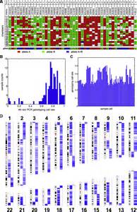 Genome Wide Single Cell Analysis Of Recombination Activity And De Novo