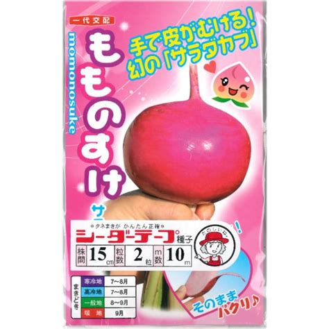 サラダカブ 種子 もものすけ 【シーダーテープ種子 15cm 2粒 10m 】 10003682なえ屋の羽場 通販 Yahoo